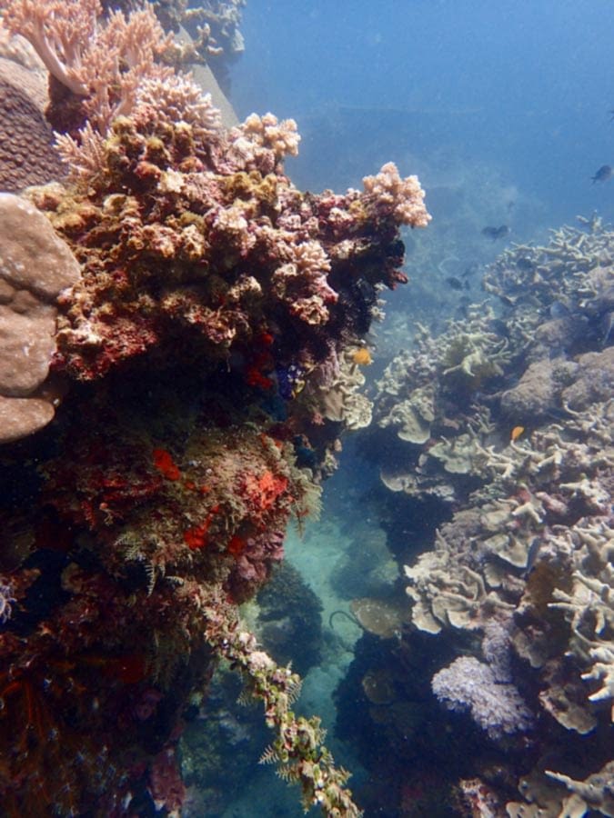 Exploring Basay’s coastline - Marine Conservation Philippines